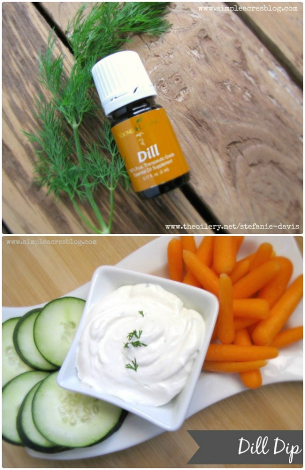 Vegetable Dill Dip - Simple Acres Blog