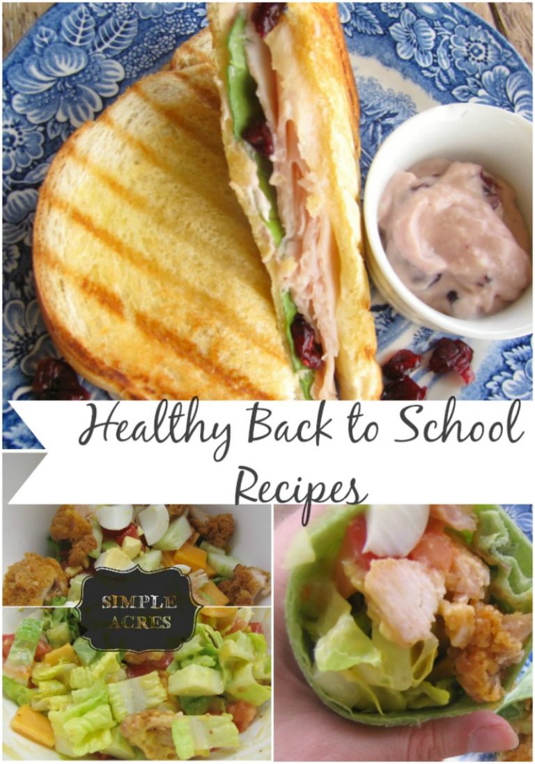 Ad: Healthy Back to School Recipes - Simple Acres Blog