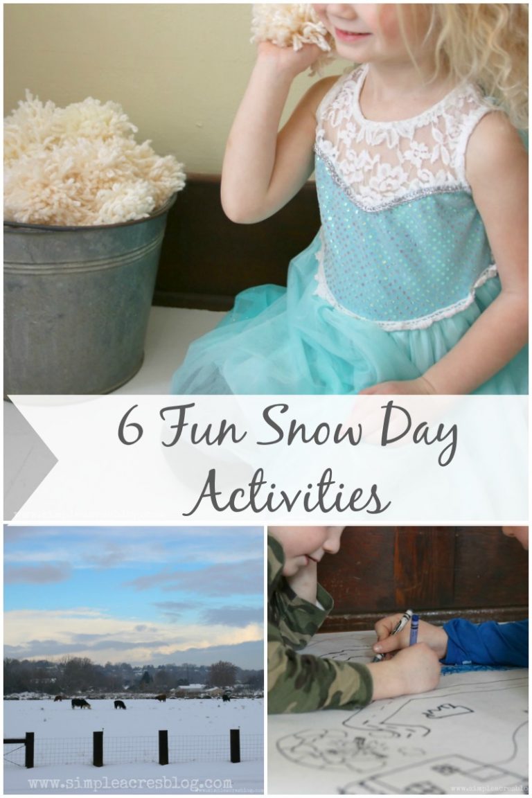 9 Fun Snow Day Activities - Simple Acres Blog