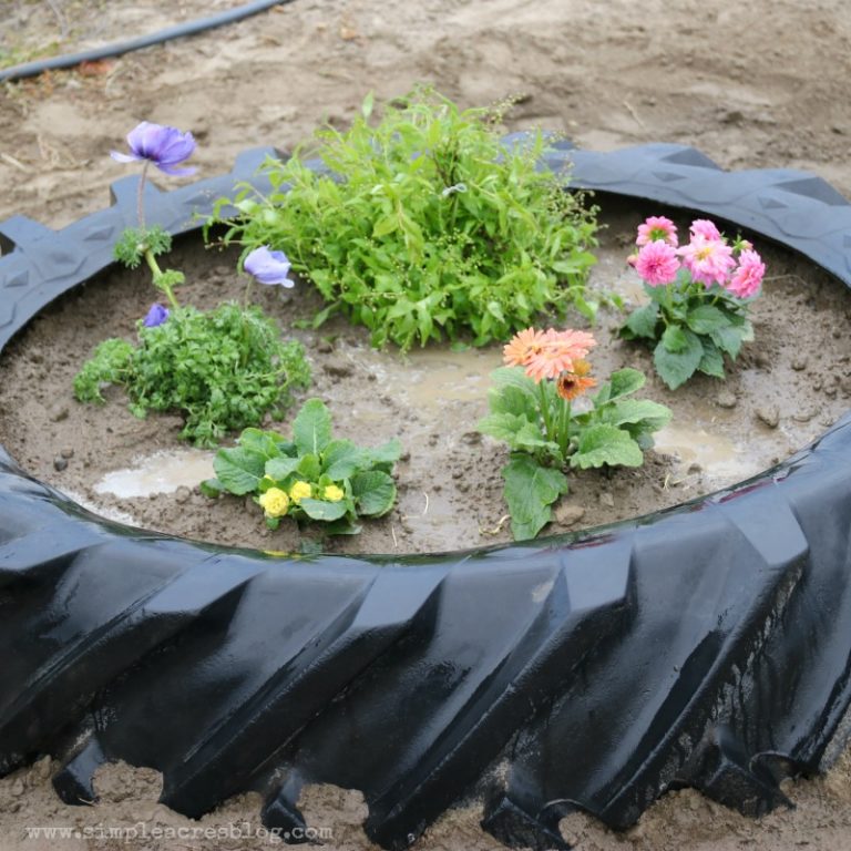 tire flower planter - Simple Acres Blog