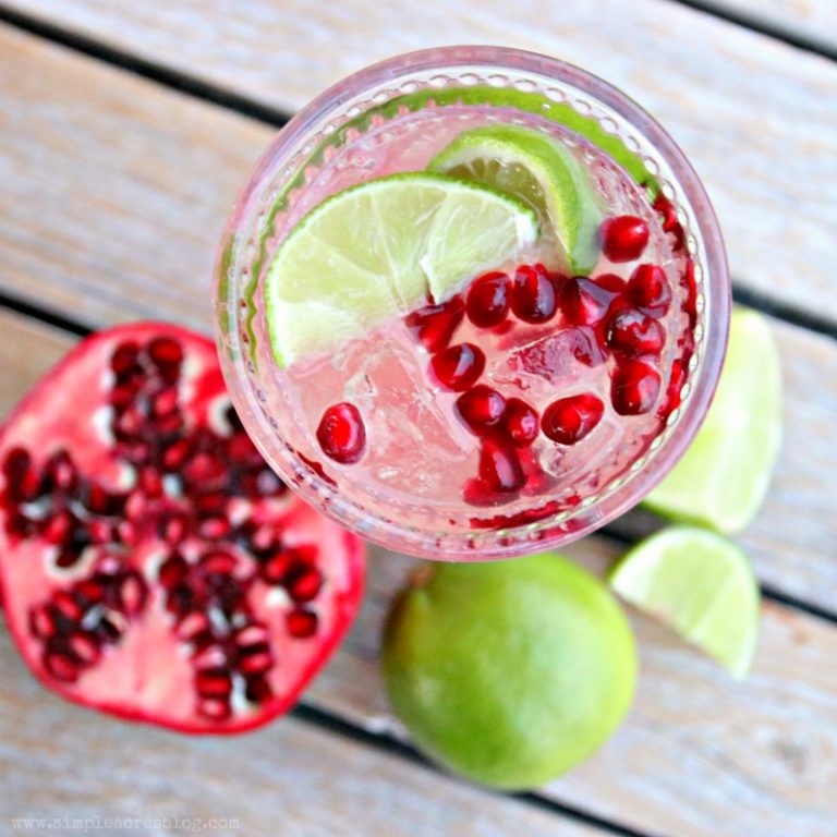 Pomegranate Lime Spritzer - Simple Acres Blog