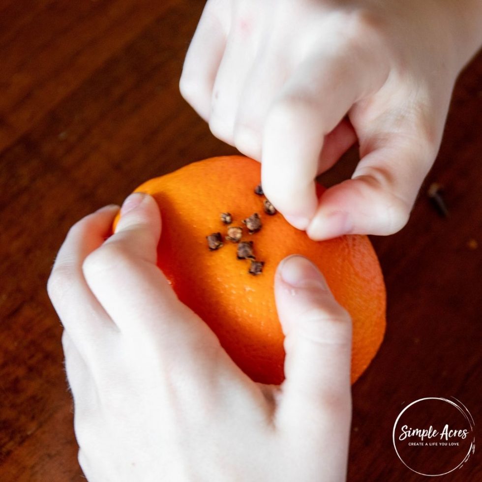 How to Make Easy DIY Pomander Balls - Simple Acres Blog